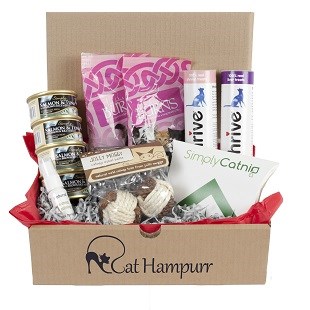 Surprise Your Cat Each month